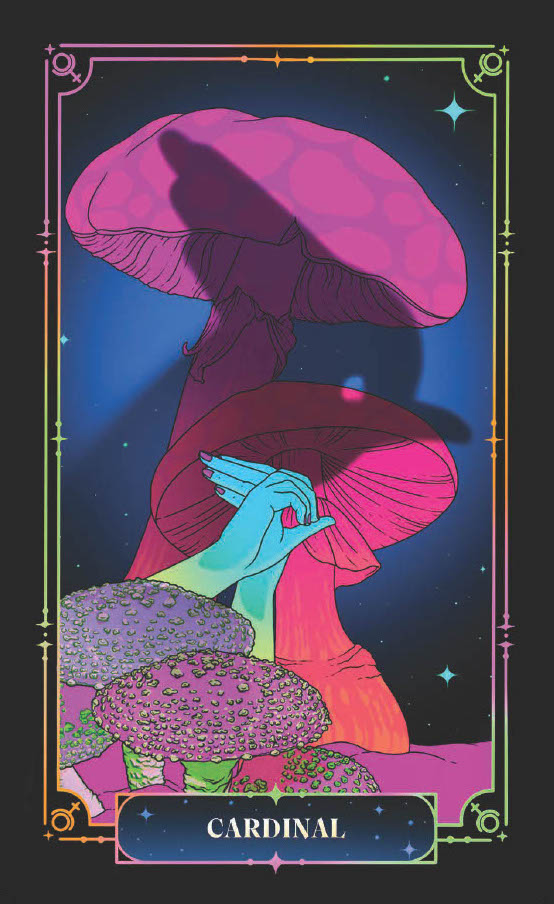 RP Mystic | Hachette Book Group